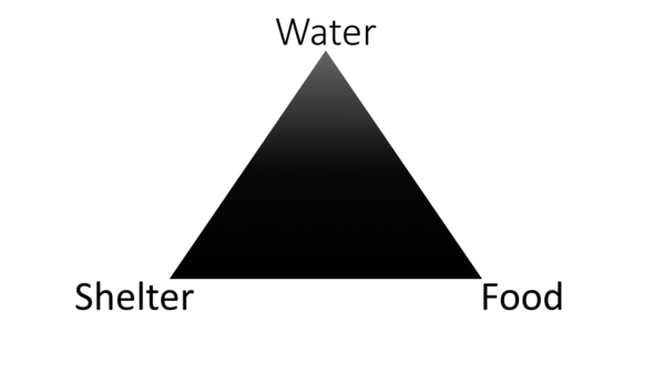 The TRIANGLE OF SURVIVAL - Indy Wild