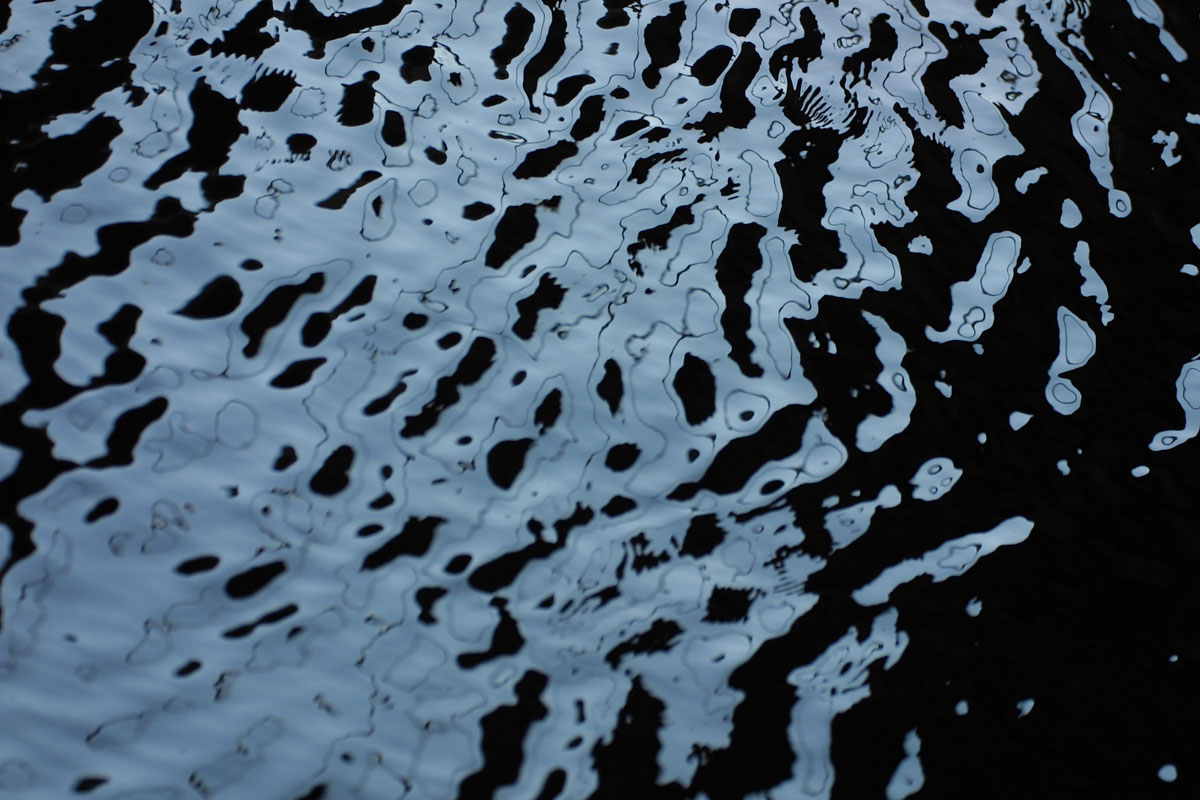 The Clapping Water - Indy Wild