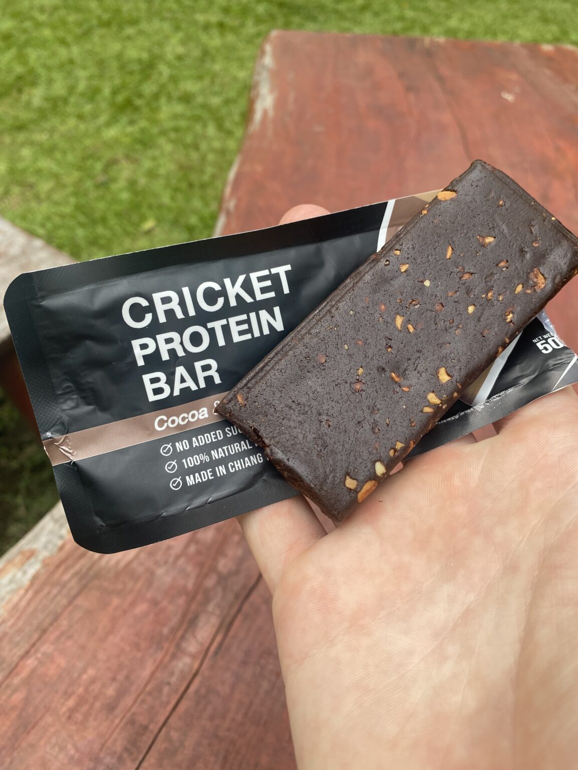 Chocolate Bug Bar?? - Indy Wild