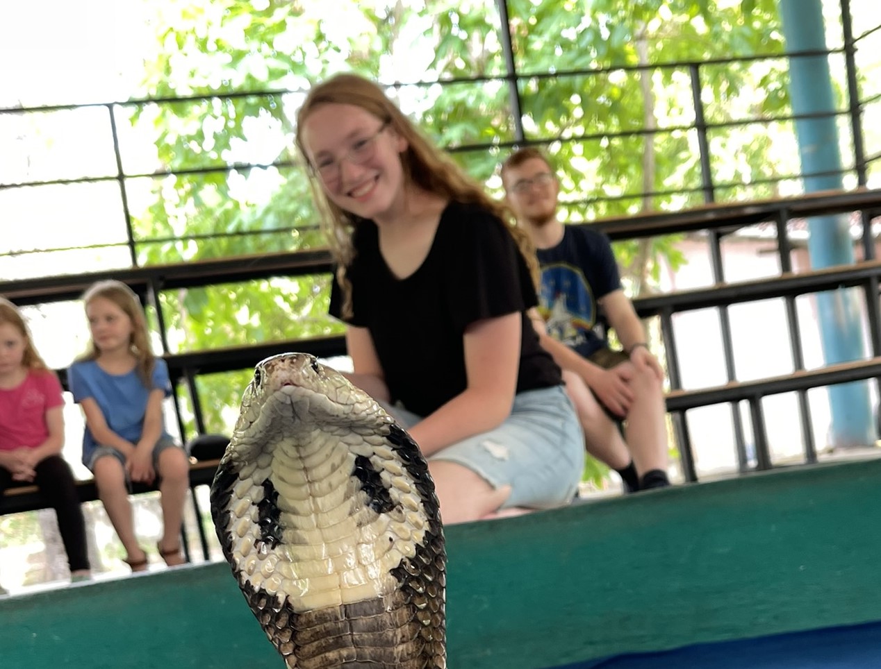 Happy Birthday, Dawn! - Indy Wild